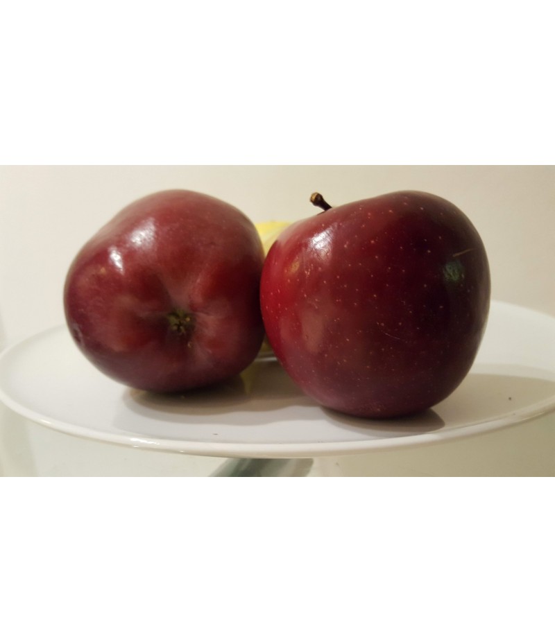 MERE STARKINSON (BOT DE IEPURE) DE LA SLIMNIC