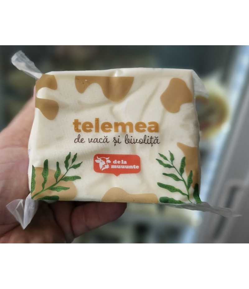 TELEMEA de VACA si BIVOLITA