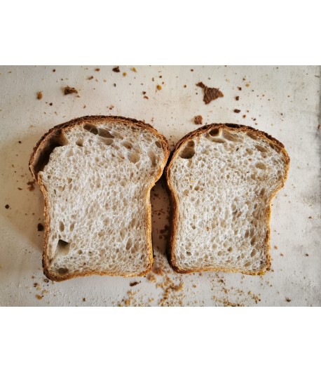 Paine TOAST cu maia din faina alba de grau - SIMPLA